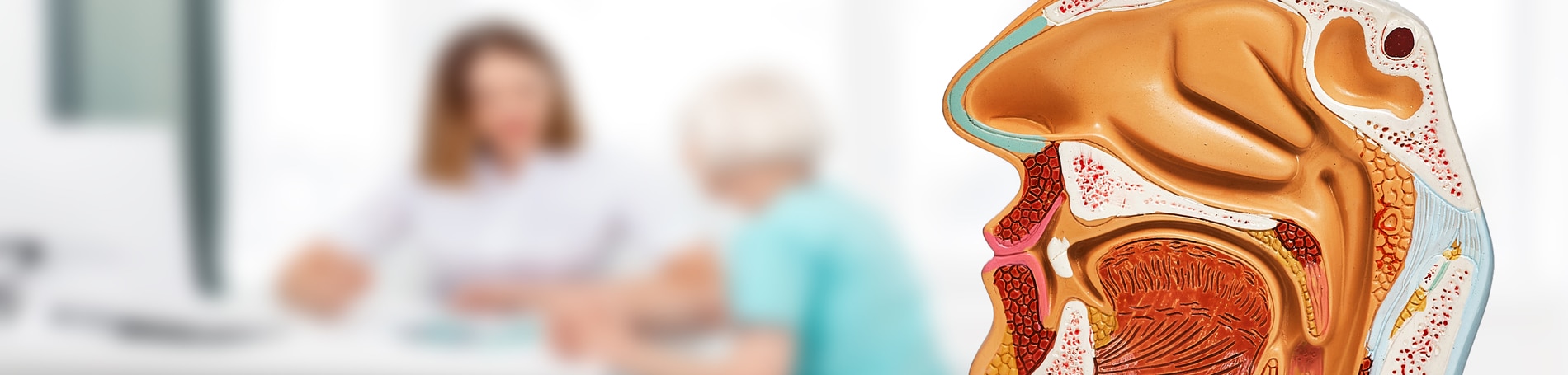 Otorhinolaryngology - Premier Medical Centre