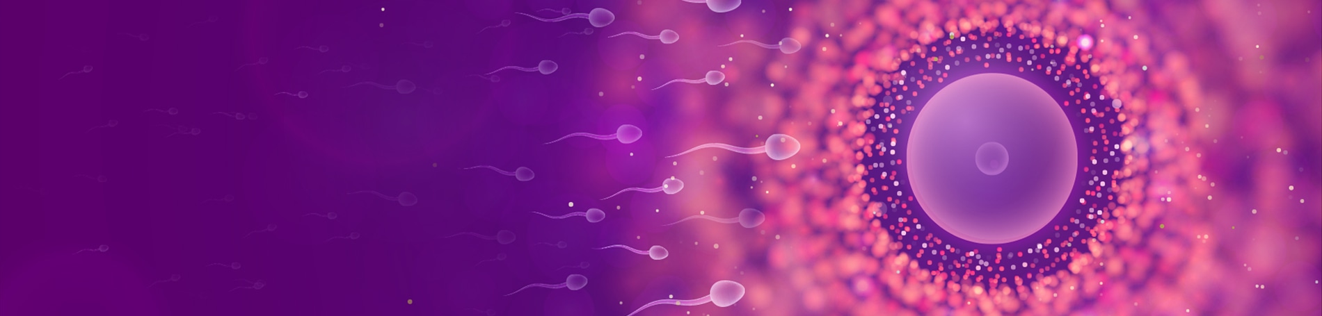 Reproductive Medicine - Premier Medical Centre